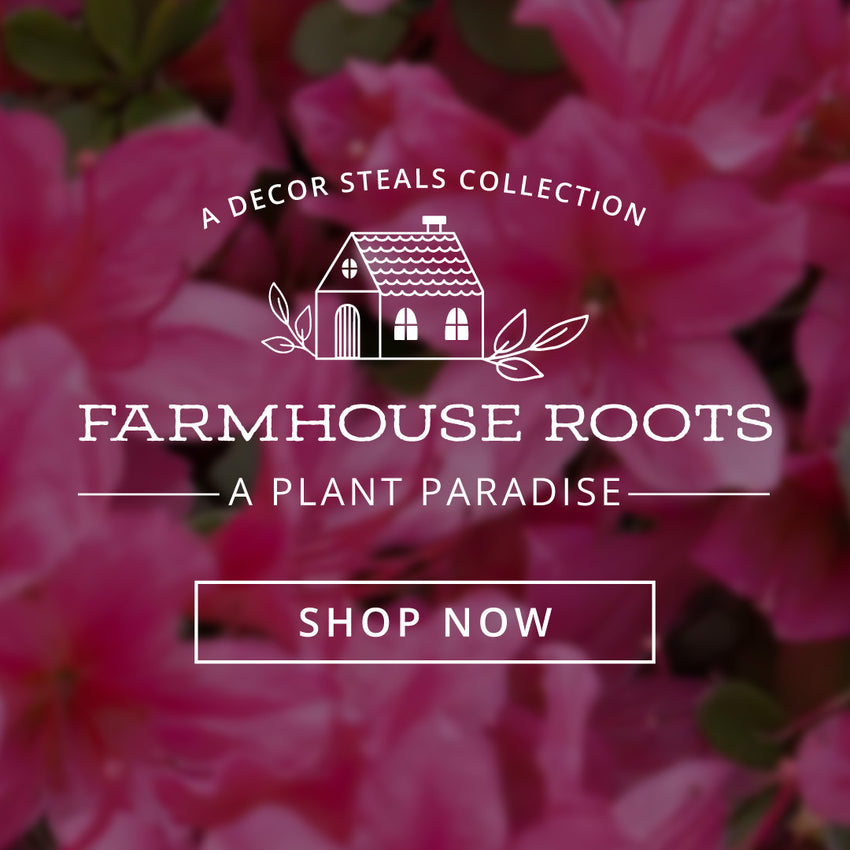 Wood Spindle Bench | Organic Wood Spindle Bench - Decor Steals