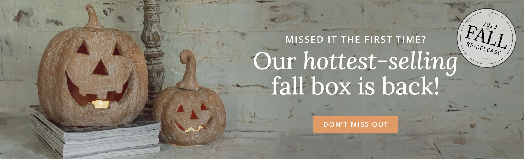 2023 Fall: The Seasonal Collection by Steal it Box | Limited Re-Releas ...