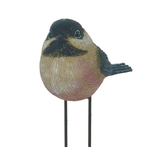 Bird Decor - Decor Steals