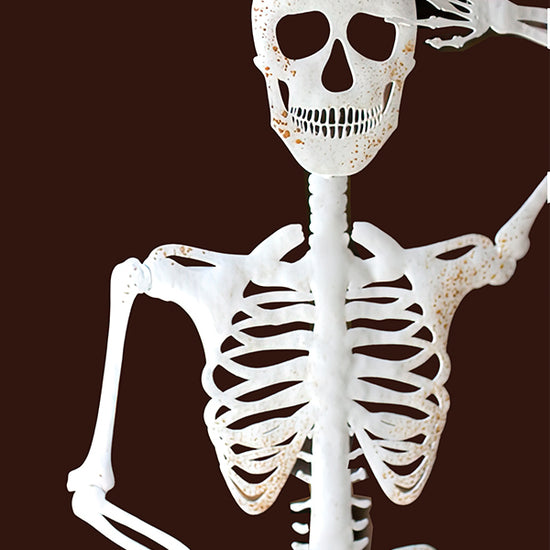 24 Inch Mr Skeleton Statue - Default Title - Decor Steals