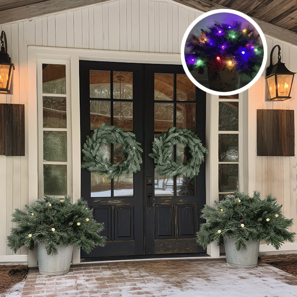 Faux Pine LED Centerpiece with Timer - Default Title - Decor Steals
