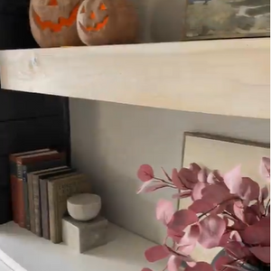 2023 Fall: The Seasonal Collection by Steal it Box | Limited Re-Releas ...