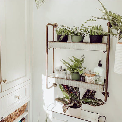 Shelving - Decor Steals