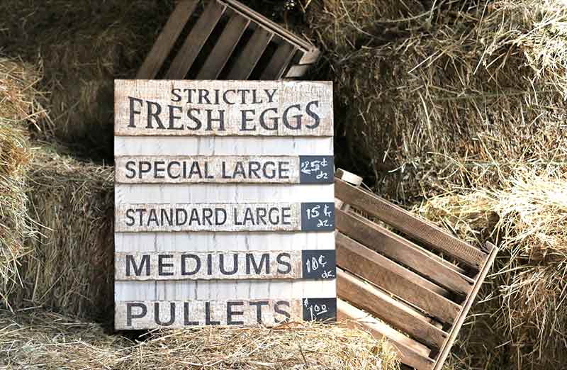 Vintage Wooden Egg Board – Decor Steals